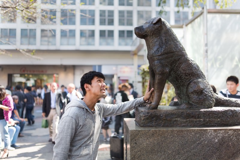 Hachiko in Shibuya: Why This Legendary Dog is Tokyo’s Most Popular ...